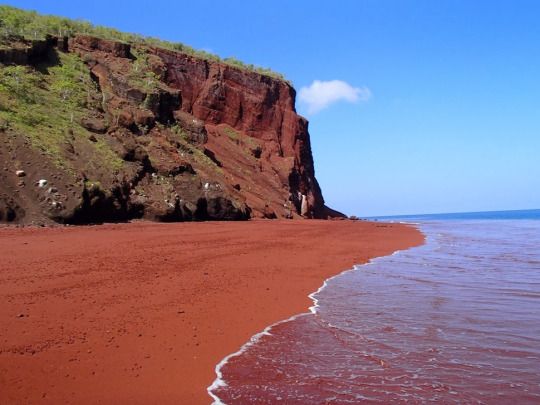 red-sand-beach – Curious Mob