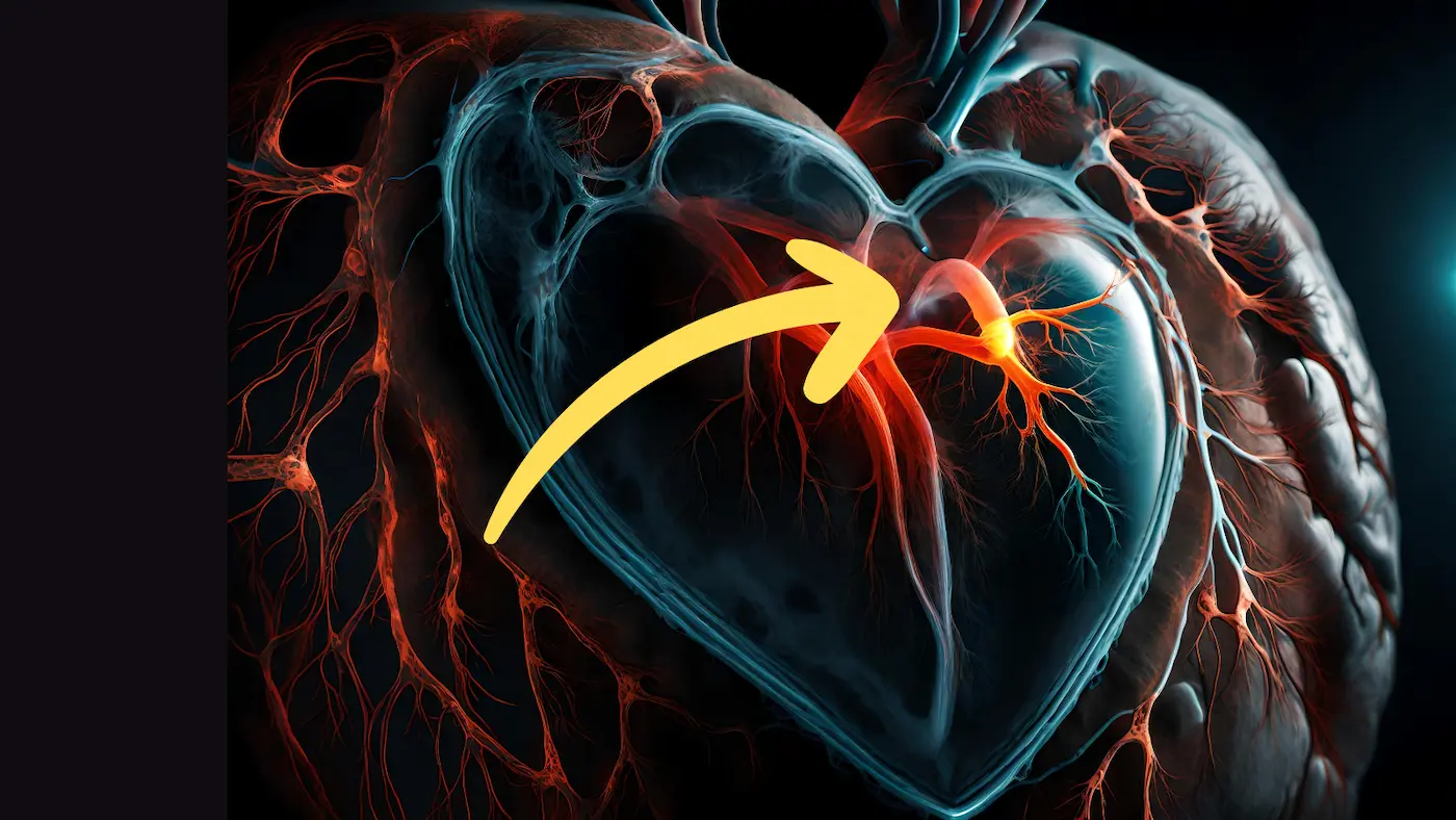 6 UNEXPECTED Signs of Heart Disease THAT YOU MUST KNOW | Curious Mob ...